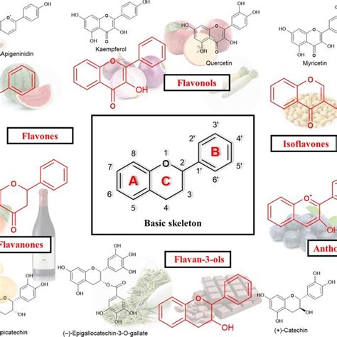Basic Skeleton Structure Of Flavonoids And Their Subclasses Download Scientific Diagram