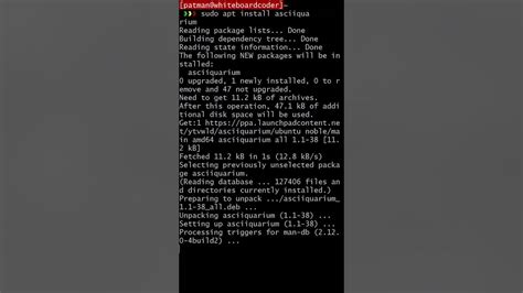 Linux Asciiquarium Coding Linux Linuxtutorials Linuxcommandlinetutorial Ubuntu Sysadmin