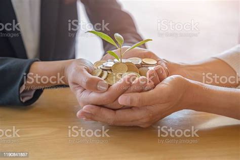 사업가 팀워크는 수익 투자 뮤추얼 펀드 금융 및 비즈니스에 동전성장 나무와 손을 도움말 및 협업 비즈니스 개념 개념에 대한 스톡 사진 및 기타 이미지 Istock