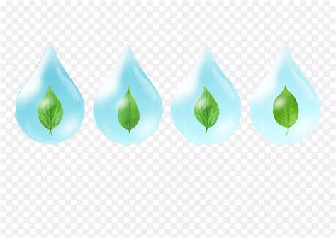 绿滴叶png图片素材下载图片编号317686 Png素材网 绿滴叶png图片素材下载图片编号317686 Png素材网