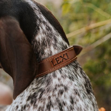 Personalized Leather Dog Collar Dog Collar Leather Dog Collar