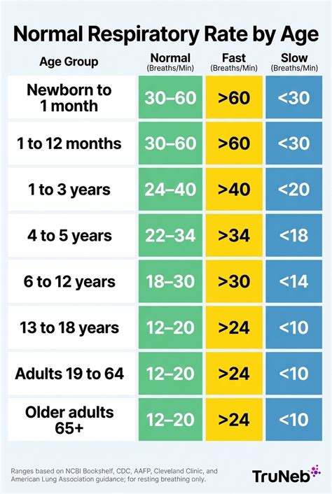 Normal Respiratory Rate By Age Chart Know Whats Normal