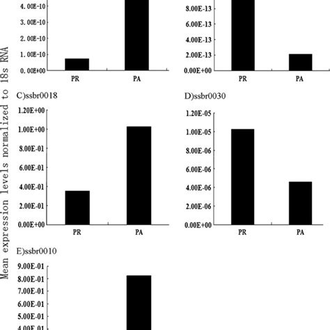 Quantitative Real Time Pcr Analysis Of Genes Differentially Expressed