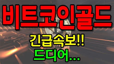 비트코인골드 긴급속보 드디어 Youtube