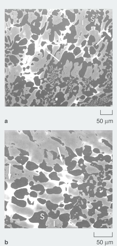Backscattered Electron Images Showing Similar Eutectic Microstructures