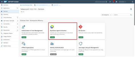 Deploy OneAgent On SAP Business Technology Platform For Application Only Monitoring Dynatrace Docs