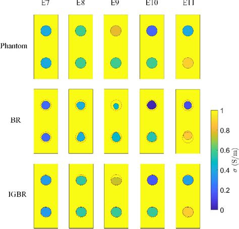 Figure 1 From A Flexible Image Guided Shape Reconstruction Framework For Electrical Impedance