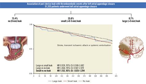 Left Atrial Appendage Occlusion Eurointervention