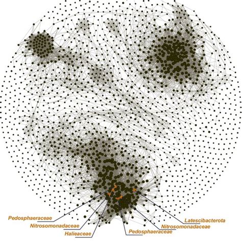 Co Occurrence Network Anal Ysis Showing The Biological Interactions In Download Scientific