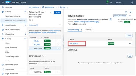 Automating SAP HANA Cloud Tasks With A REST API SAP Tutorials