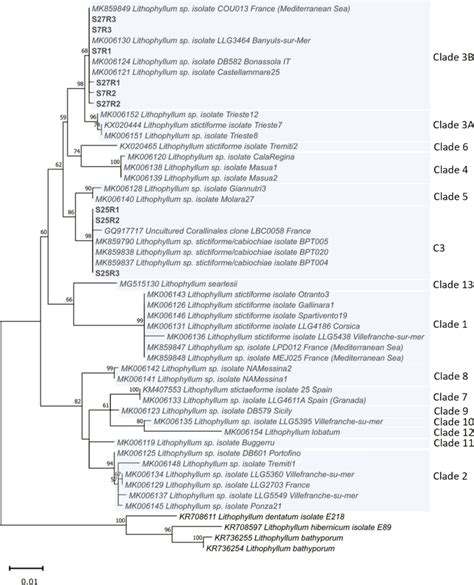 Inter And Intraspecific Diversity In Bacterial Communities Associated With Two Crustose