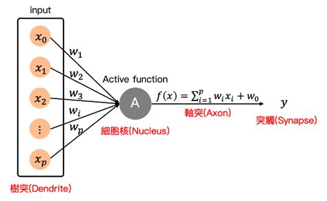 Day27 類神經網路neural Network1 It 邦幫忙一起幫忙解決難題，拯救 It 人的一天
