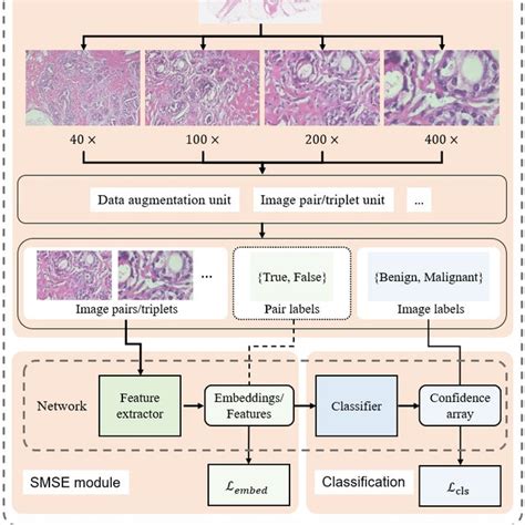 Framework Of Learning Similarity Based Multi Scale Embeddings Smse Download Scientific
