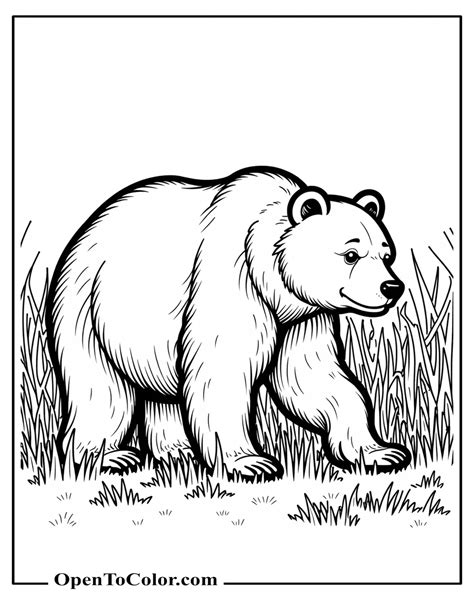 Bear Coloring Pages 40 Easy And Free Printable Pdf Opentocolor