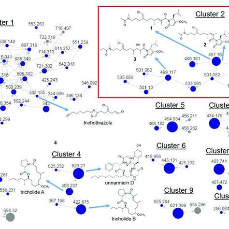 Ms Ms Based Molecular Networking Cluster Identifying 1 3 And Download Scientific Diagram
