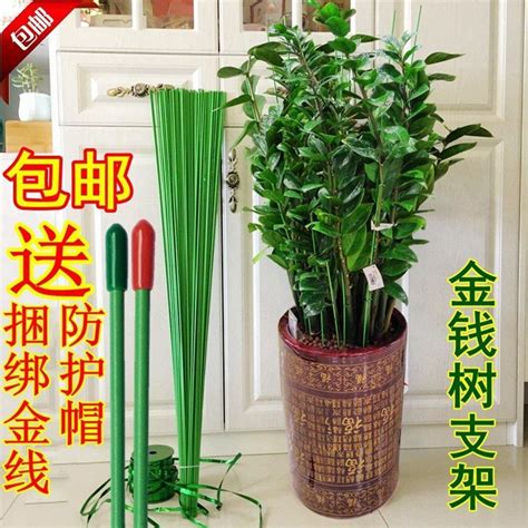 盆栽绿萝固定器支撑架树木专用捆绑支架防倒伏金钱树植物支架花卉虎窝淘