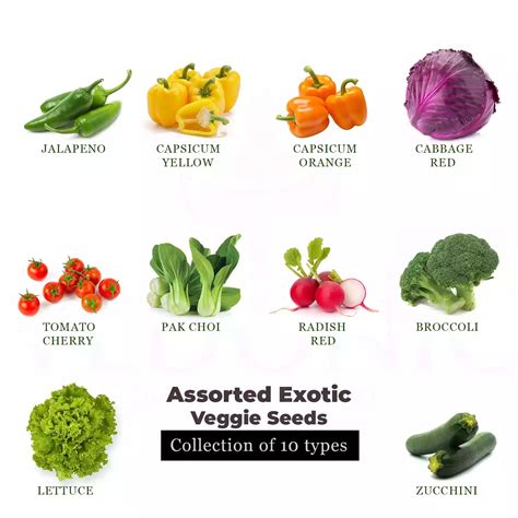 Exotic Vegetables Names Pictures And Culinary Secrets