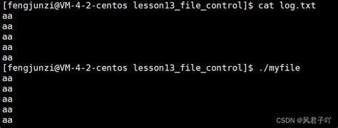 Linux 文件操作和系统接口linux的接口 Csdn博客