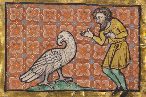 10 Surprising Facts About Books Of Beasts From The European Middle Ages