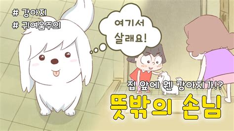 뜻밖의 손님 나랑 여기서 같이 살래 YouTube