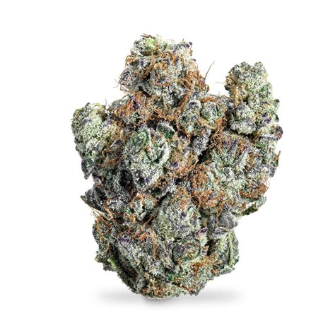 Black Cherry Garlic Pre Pack Dark Matter Black Cherry Garlic Pre