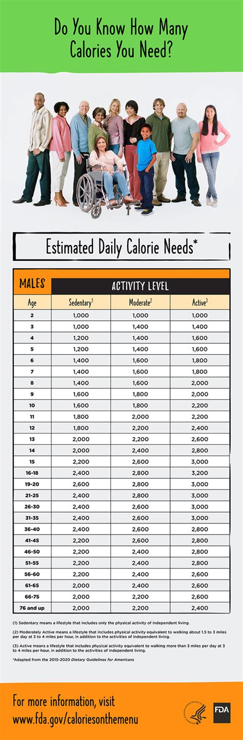 How Many Calories Do You Need Daily Best Infographics