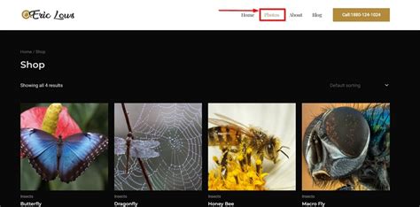 Criando Menu Simples Com Elementor Kerbco Web Services