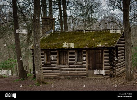Chinking Log Cabin Plorapromo