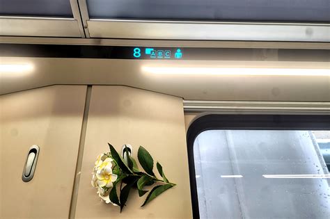 기차티켓 비엔티엔 루앙프라방 트래블라오