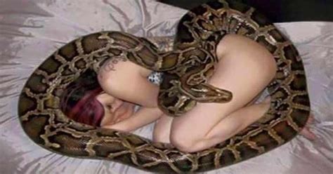 Funny Story The Woman Who Slept With A Python Would Live To Regret It
