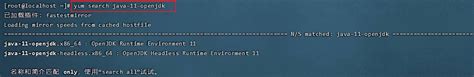 Centos7下载openjdk与寻找jdk路径yum Install Search Openjdk17 Csdn博客