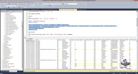 Minion Backup Shrinking Logs Midnightdba