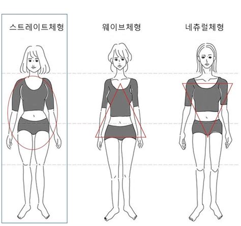 퍼스널 패션 여자 스트레이트 체형유행하는 와이드 바지 과연 어울릴까 와이드 팬츠 유행인데 저 어울릴까요” 요즘 유행하는 이젠 기본템이 된 와이드바지 꼭 입고