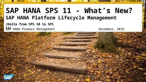 Pptx Whats New In Sap Hana Sps 11 Platform Lifecycle Management