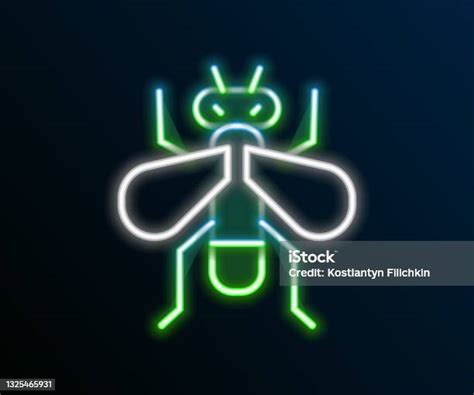 빛나는 네온 라인 곤충 검은 배경에 고립 된 아이콘을 비행 다채로운 개요 개념 벡터 곤충에 대한 스톡 벡터 아트 및 기타 이미지 곤충 녹색 눈 신체 부분 Istock