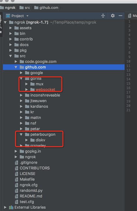 Go Cannot Find Package Gorillamux In Any Of Stack Overflow