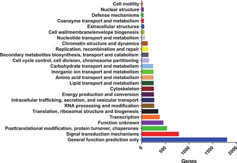Cog Function Classification Of The Eab Transcriptome The Eab Unigenes