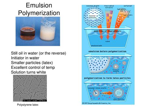 Ppt Chapter 2c Powerpoint Presentation Free Download Id 3557058