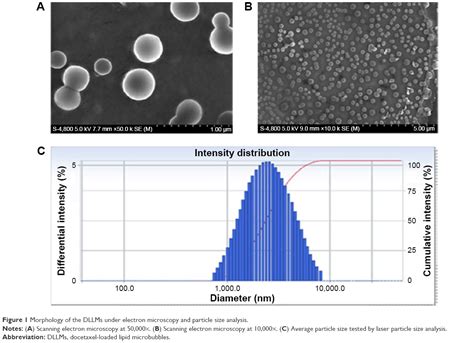 Docetaxel Loaded Lipid Microbubbles Combined With Ultrasound Triggere Ott