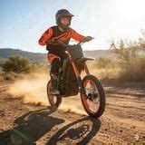 Cemoto D02 3000w Peak Mid Drive E Bike34 Mph Off Road Electric