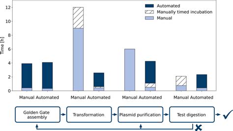 Comparison Of Automated And Manual Construction Of 96 Plasmids The Download Scientific Diagram