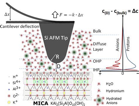 Figure 2 From Anion Layering And Steric Hydration Repulsion On Positively Charged Surfaces In