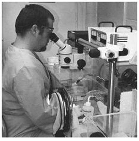 Biocontainment Laboratories BSL 2 Laboratory BSL 3 Laboratory BSL 4 Laboratory