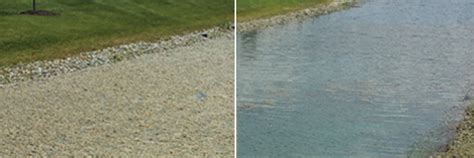 How To Kill Pond Algae Sanco Industries Sanco Industries