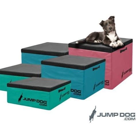 Jump Training Agility Box Set The Dog Park Company