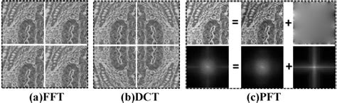 Figure 3 From Edge Effect Removal In Fourier Ptychographic Microscopy