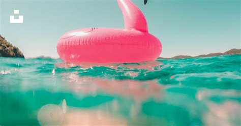 여름에 물가에 핑크 플라밍고 수영 반지 사진 Unsplash의 무료 여름 이미지