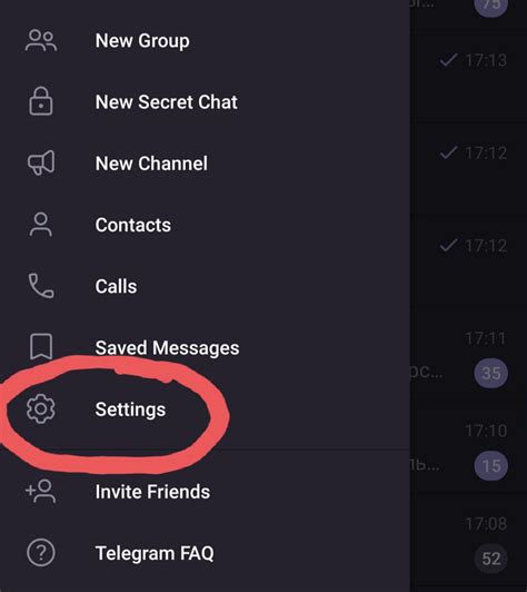 Telegram Proxy Settings Guide