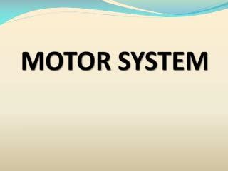 PPT MOTOR SYSTEM PowerPoint Presentation Free Download ID 2186580