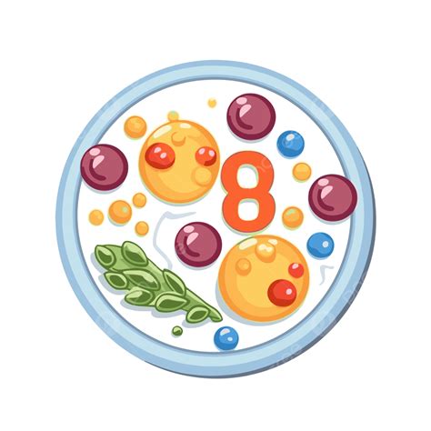 야채 만화와 96 웰 플레이트 클립 아트 오믈렛 벡터 96웰 플레이트 클립 아트 만화 Png 일러스트 및 벡터 에 대한 무료 다운로드 Pngtree